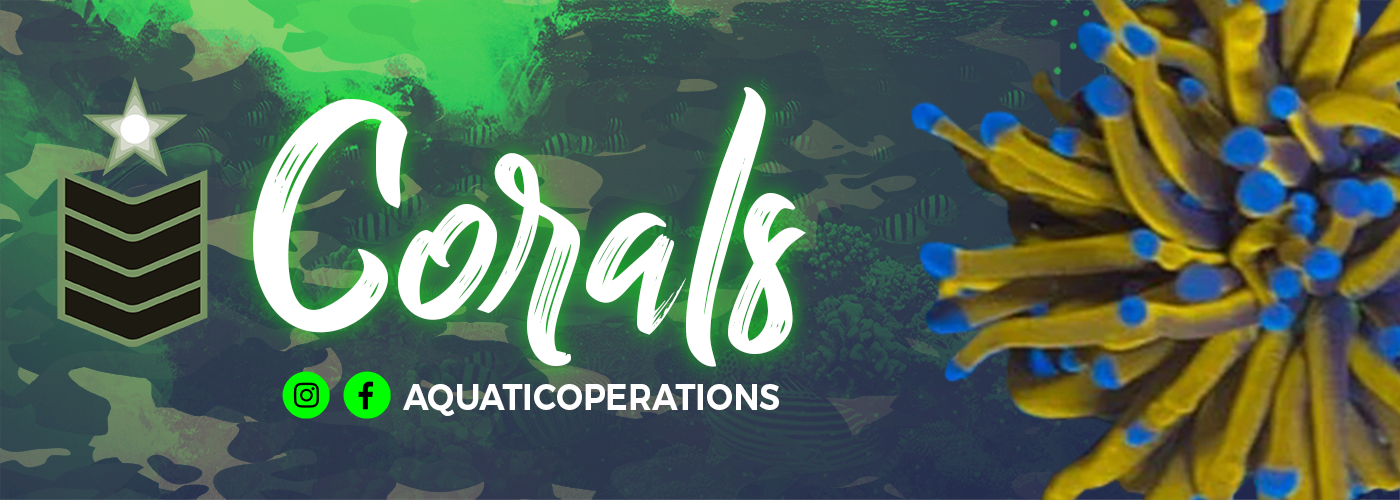 Aqua-Ops – Aquatic Operations